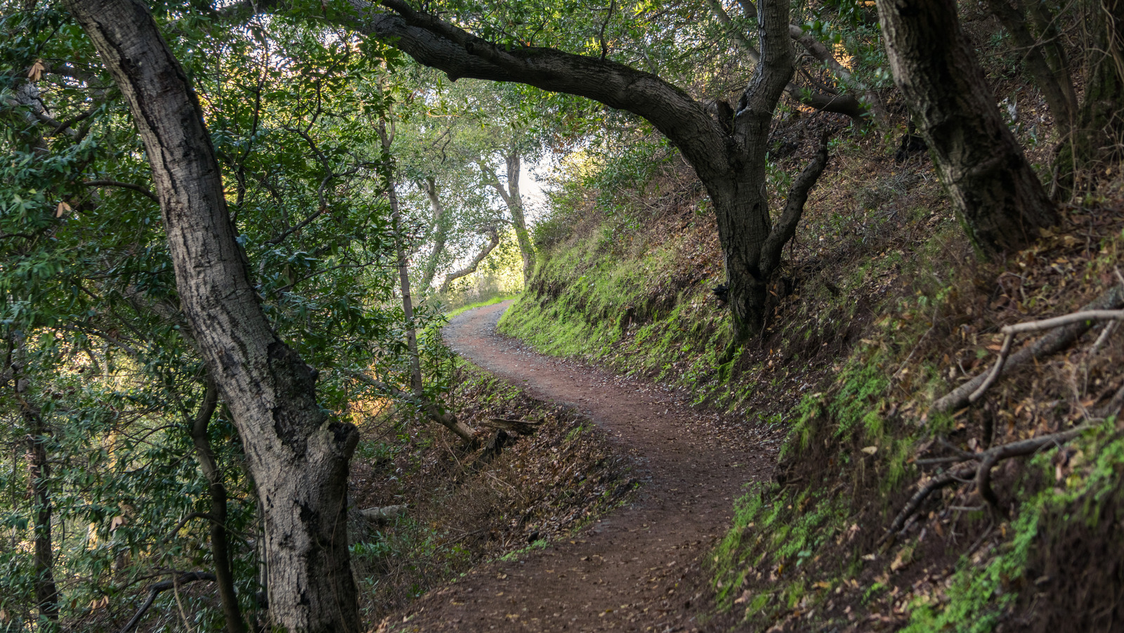 Southern Indiana's Underrated Nature Preserve Boasts Walkable Scenic ...
