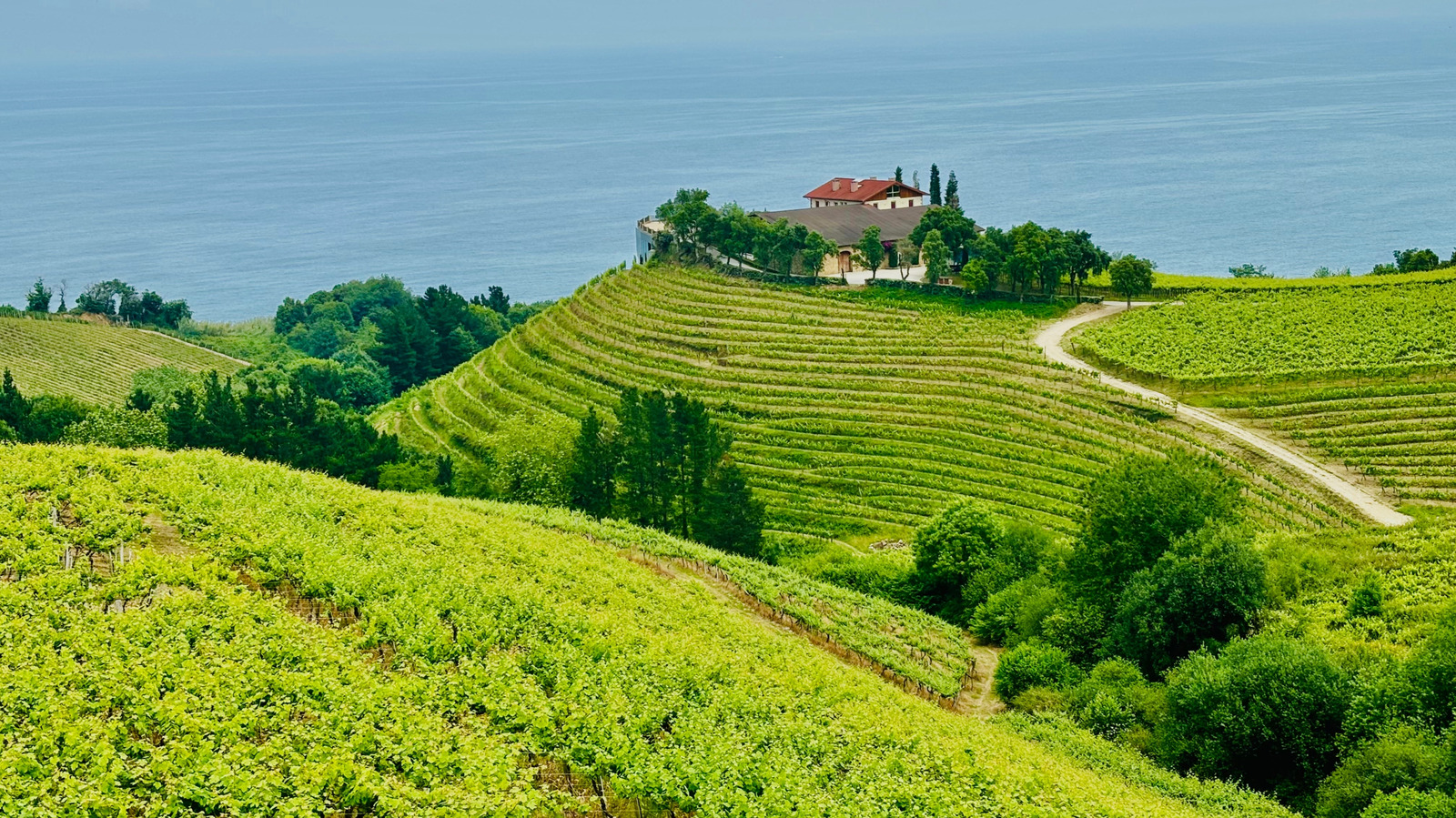 Spain's Hidden Wine Region In Basque Country Is A Vineyard Hopping ...