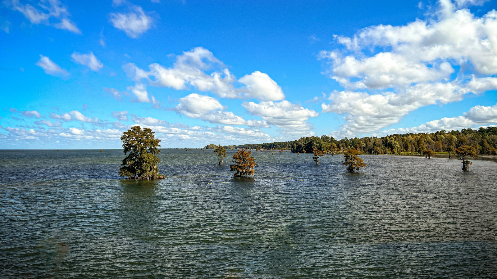 Sunken Forests And Secret Coves Make This Freshwater Lake A Dreamy ...