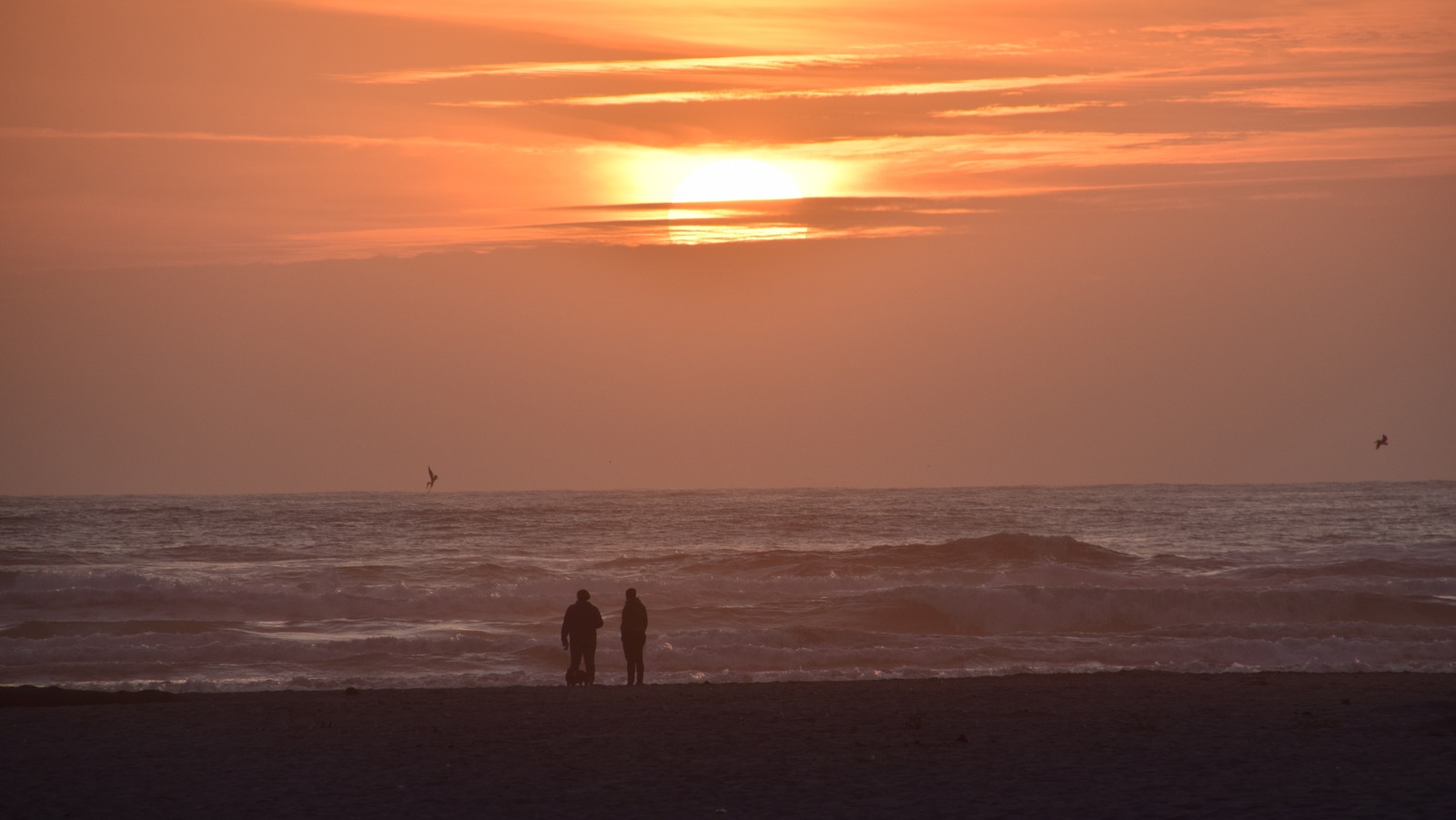 Sunset-Watch, Shop, And Walk Along The Beach At This Cozy Town On ...