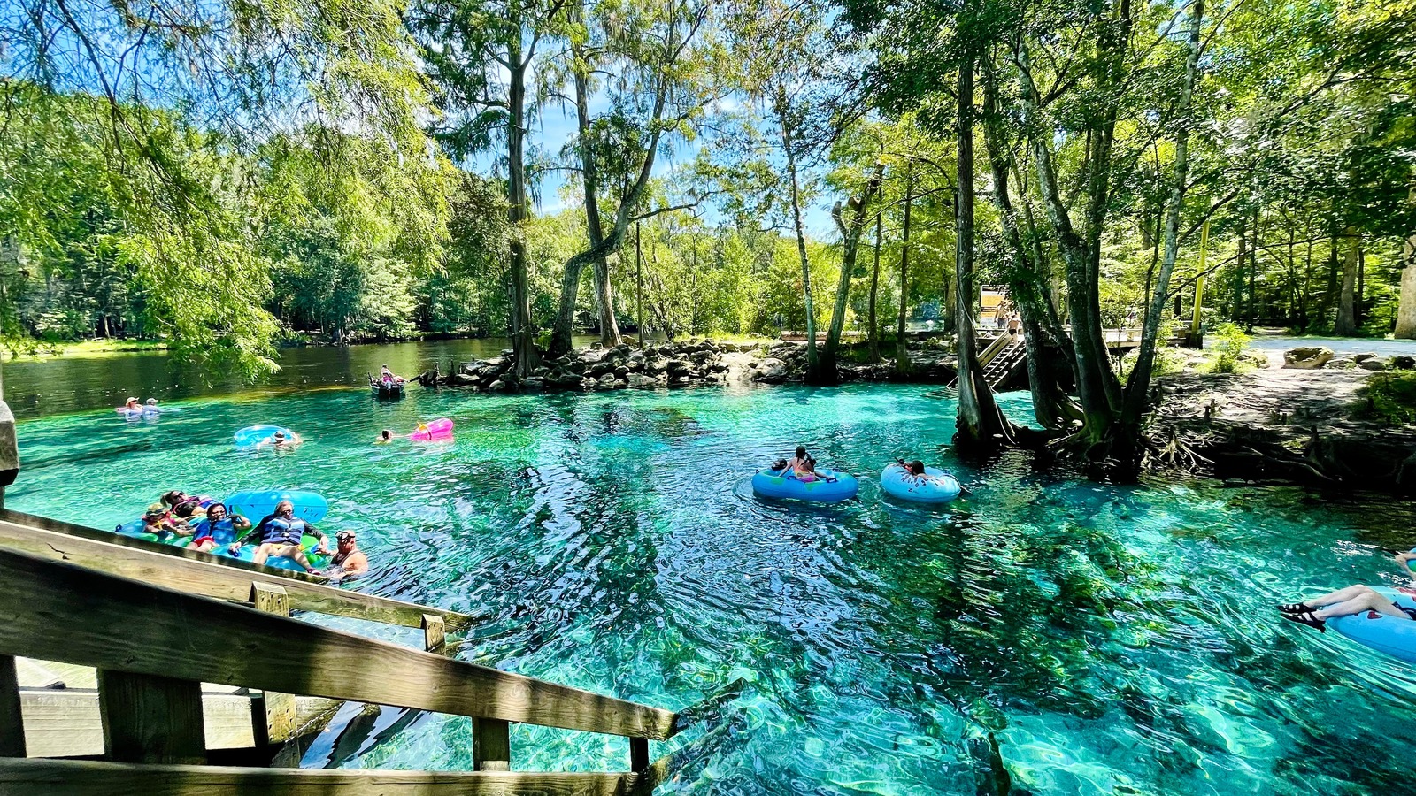 Swim In Cold Crystalline Spring Waters At This Beautiful Florida ...