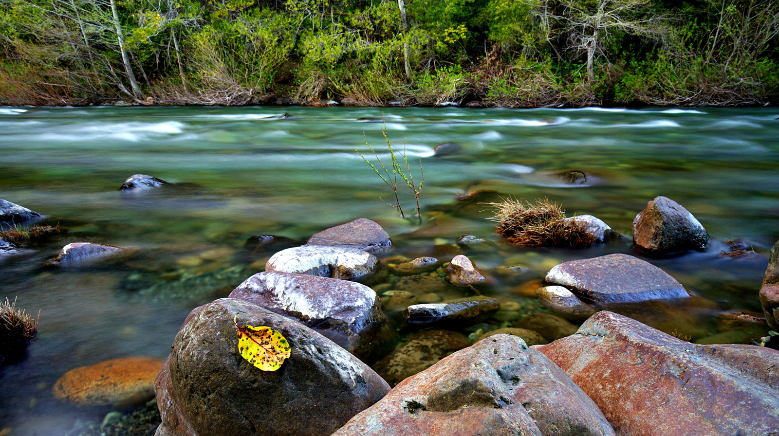 Swim In One Of America's Cleanest Rivers At This Pristine Emerald-Water ...