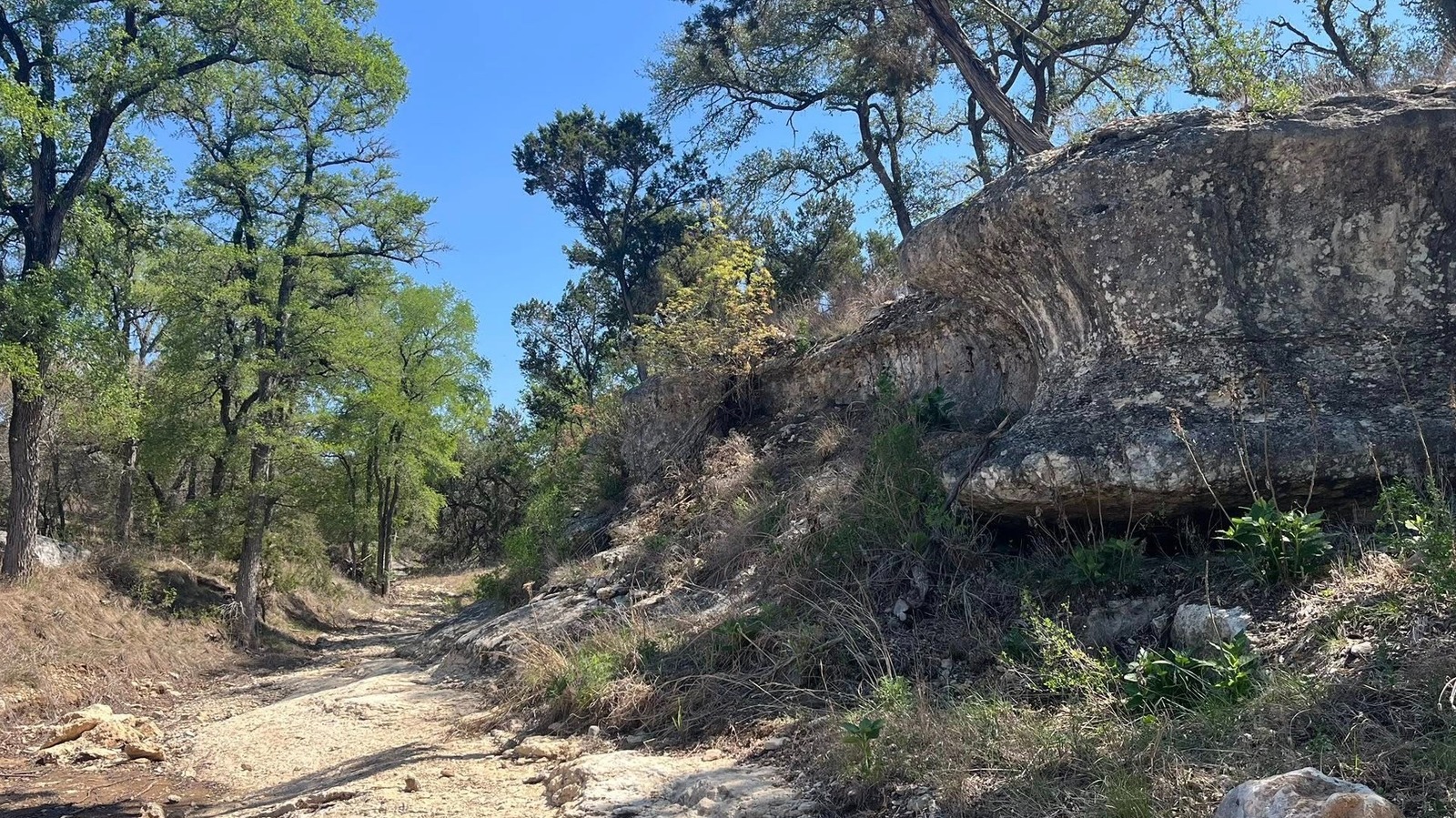Texas' Newest Nature Preserve Is A Unique Canyon Destination Near Jacob ...
