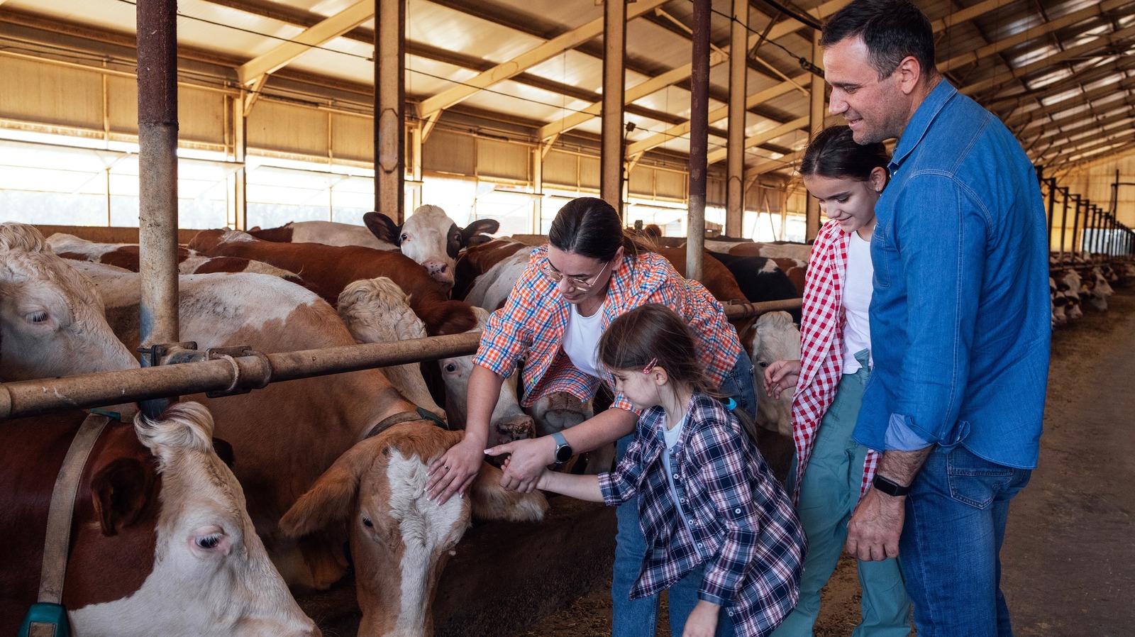 The 5 Best Farm Stays In Pennsylvania For A Harvest Season Vacation ...