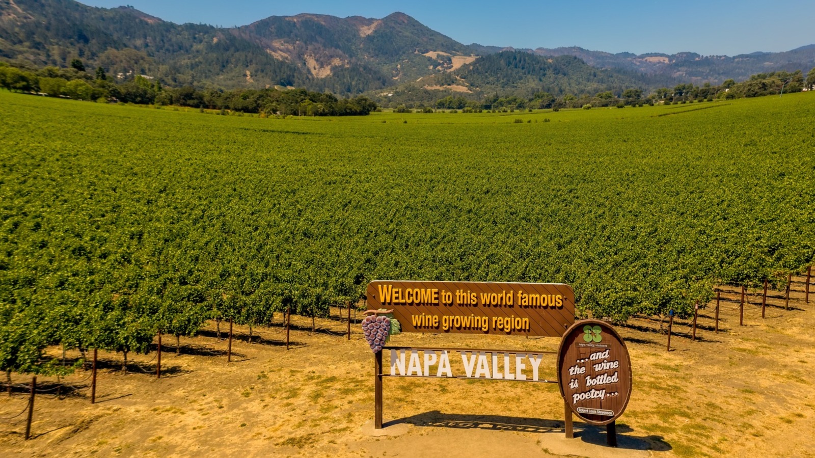 The 5 Best Napa Valley Wineries You Can Visit Without A Reservation ...