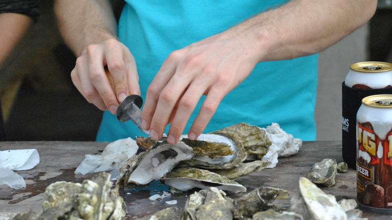 The 5 Best Things To Do In Charleston During The Winter