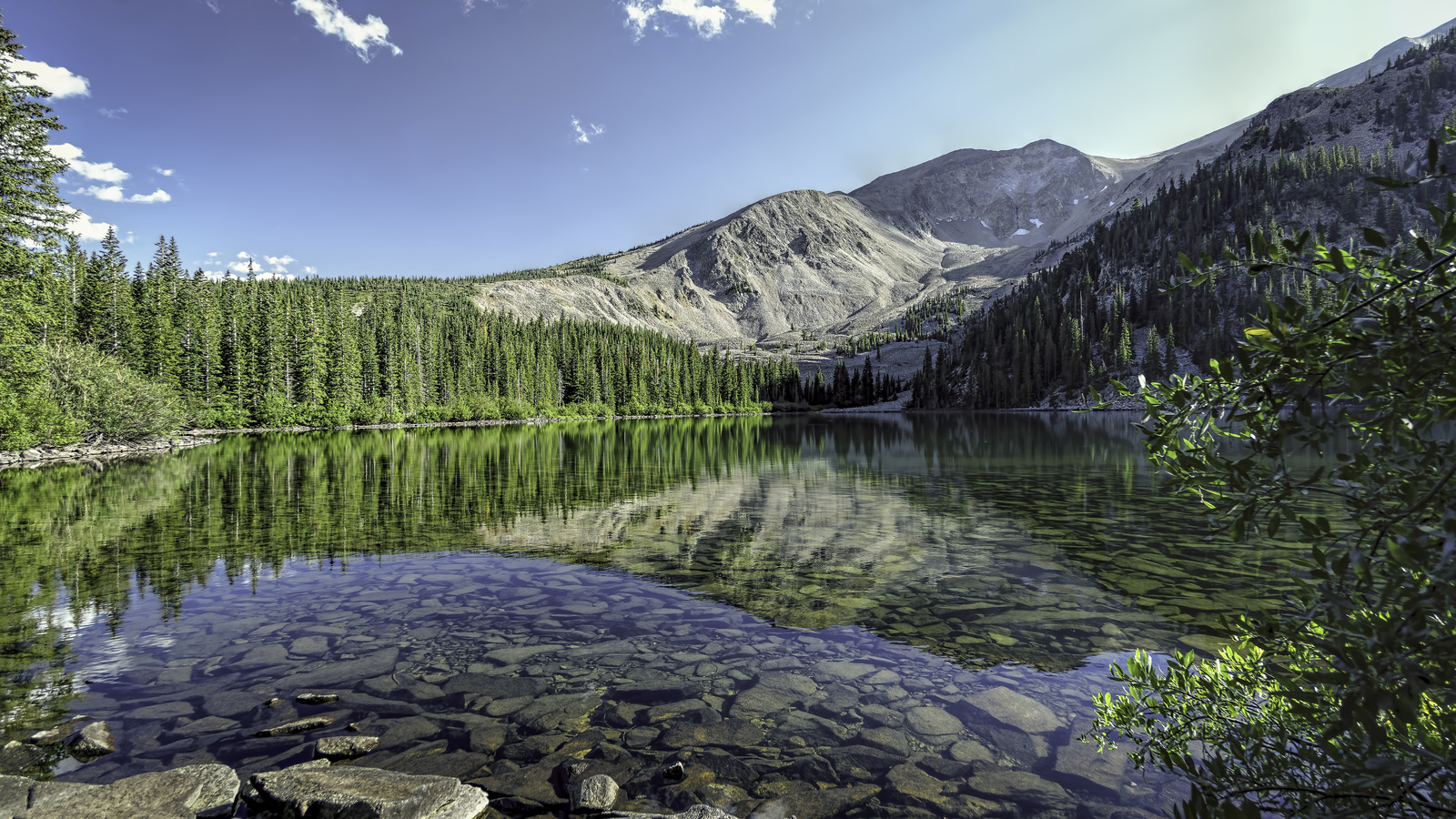 The 5 Most Scenic National Forests And Monuments In Colorado You Can ...