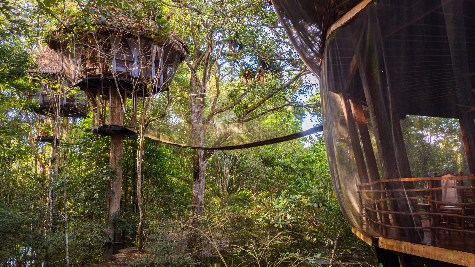 The Amazon's All-Inclusive Treehouse Lodge Lets You Sleep In The Jungle