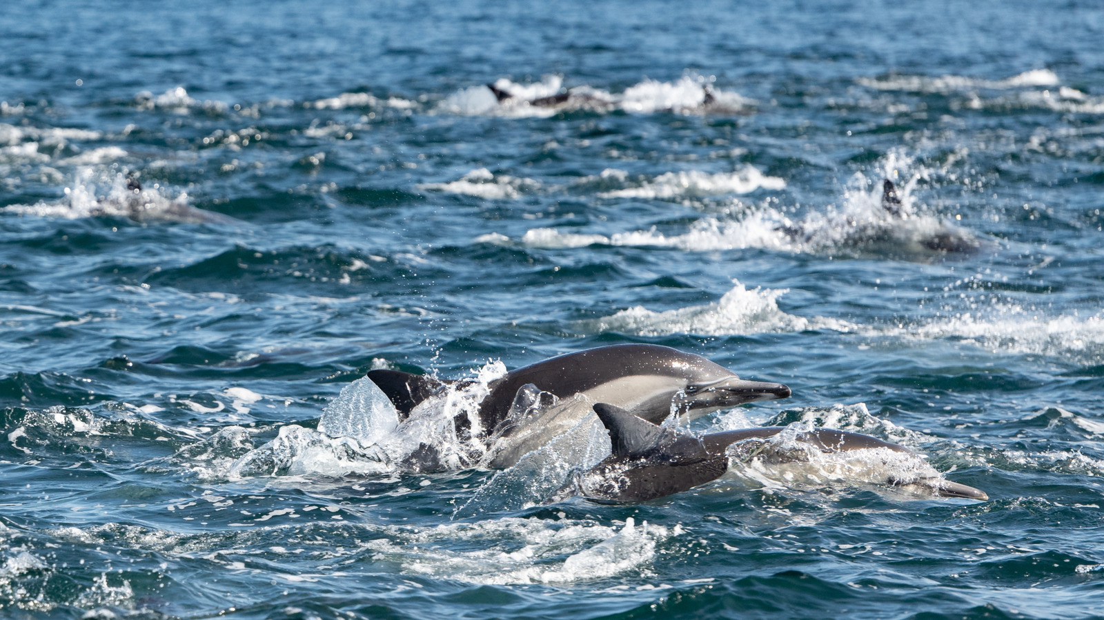 The Best Destination On The Entire West Coast To Catch A Breathtaking ...
