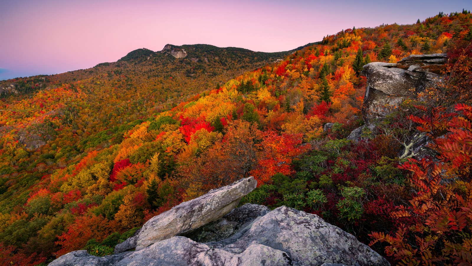 The Train Ride That Offers The Best Fall Foliage Views In Georgia