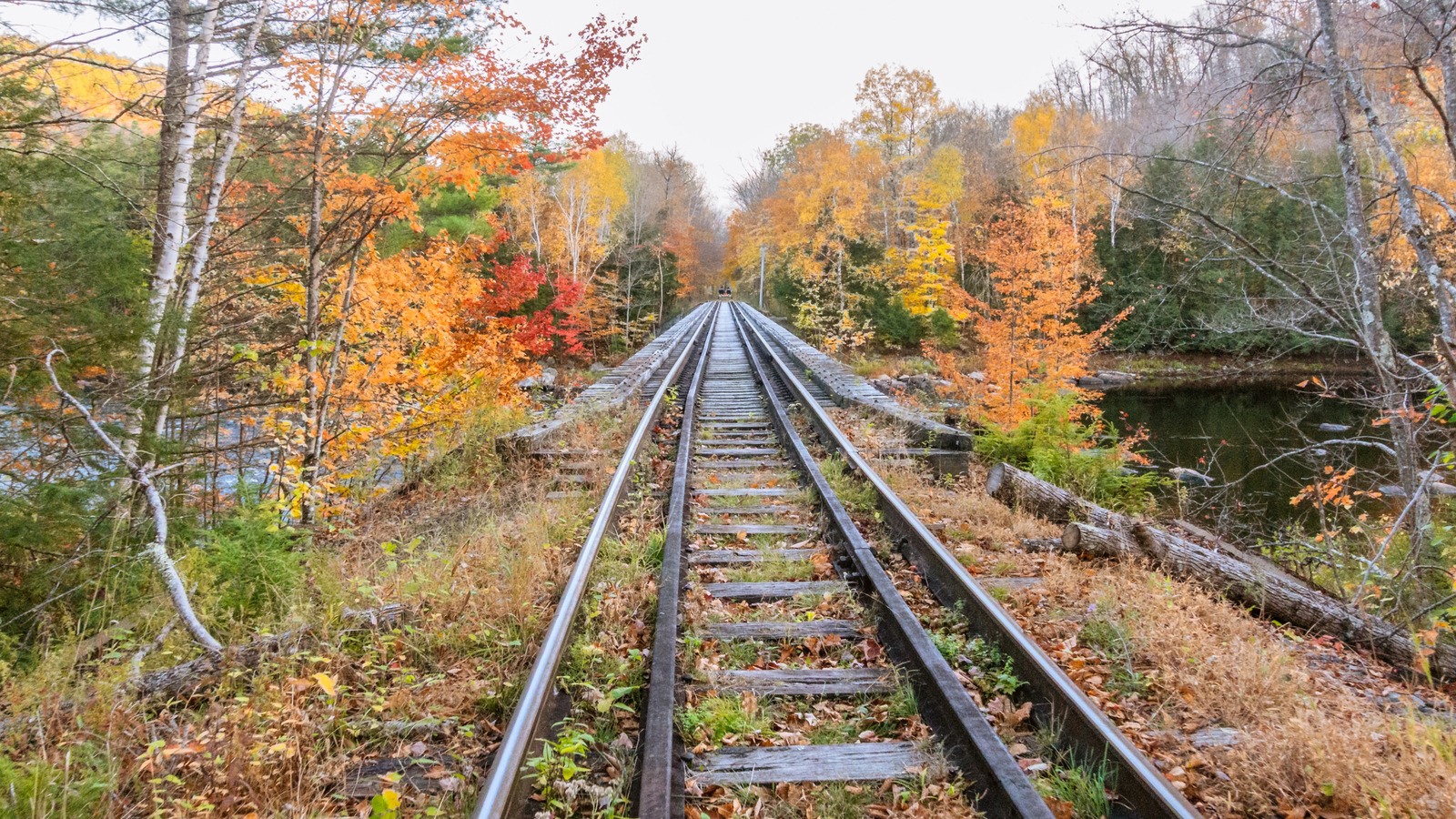 The Best Way To See New York's Fall Foliage Doesn't Involve Driving ...