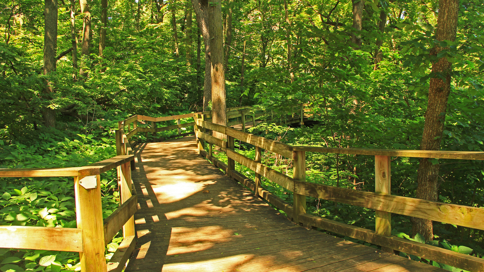 The 'Birthplace Of Nebraska' Is Its Oldest Town With Charm, Forest ...