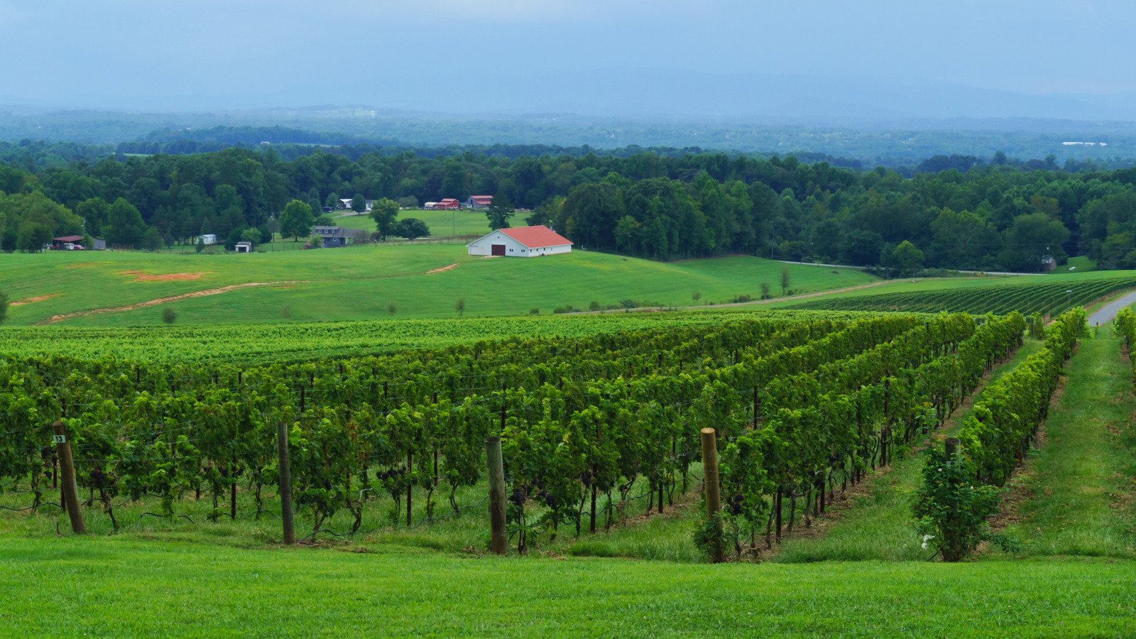 The Blue Ridge Mountains Hides One Of America's Most Underrated Wine ...