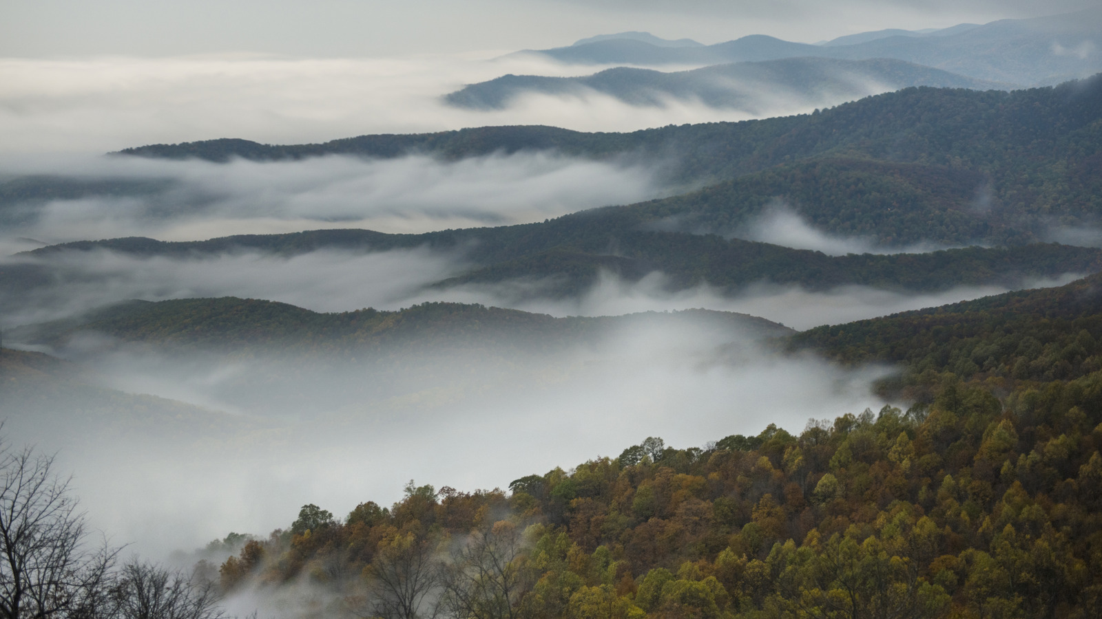 The College City In Virginia's Shenandoah Valley Is Full Of Charm ...
