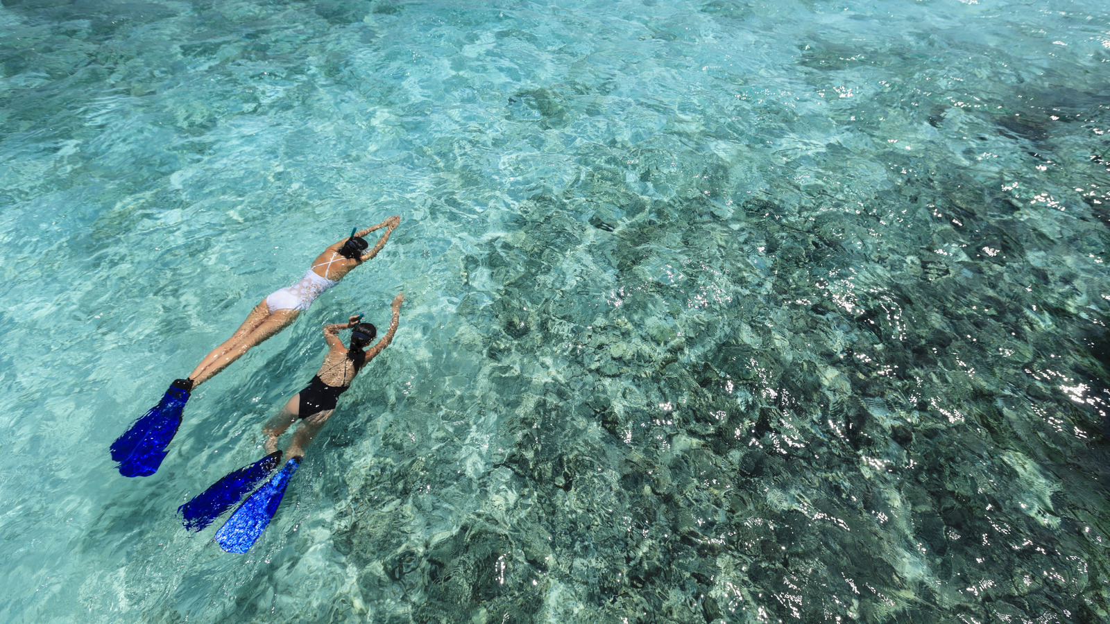The Dangerous Spots In The Ocean You Need To Avoid While Snorkeling