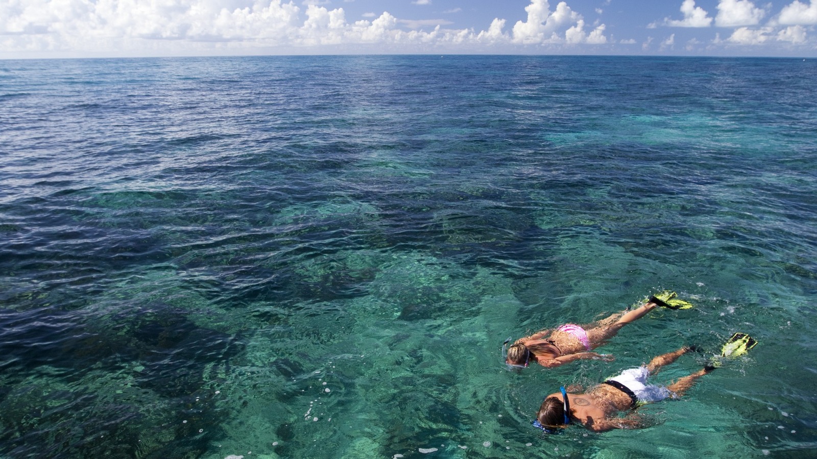The Florida Keys Island Offering The Most Stunning Coral Reef ...