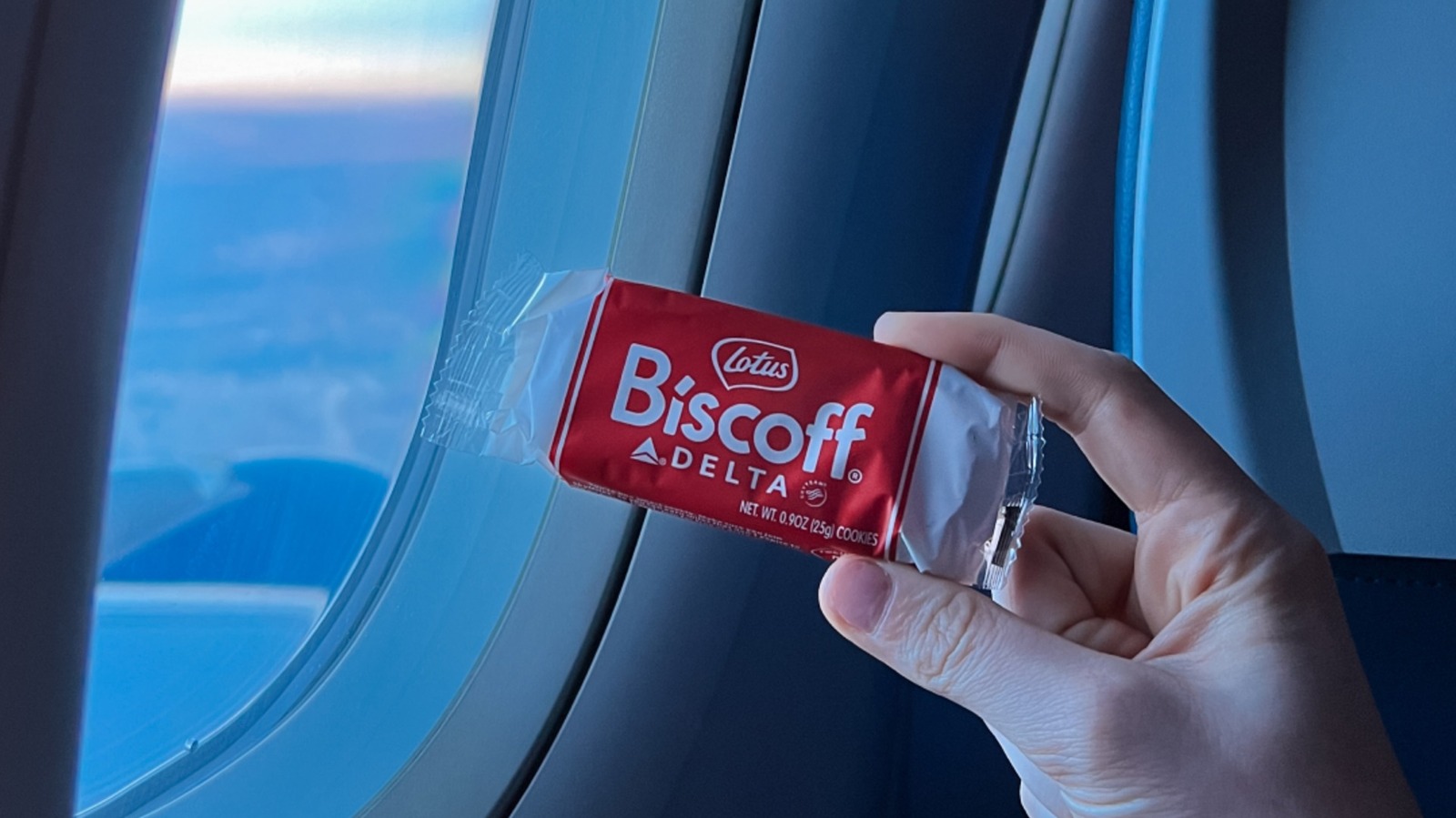 Here's Why You Crave Biscoff Cookies On Airplanes