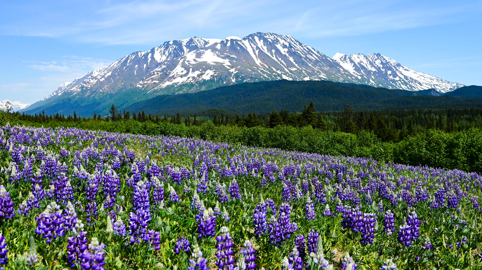 The 12 Least-Visited States In The U.S.