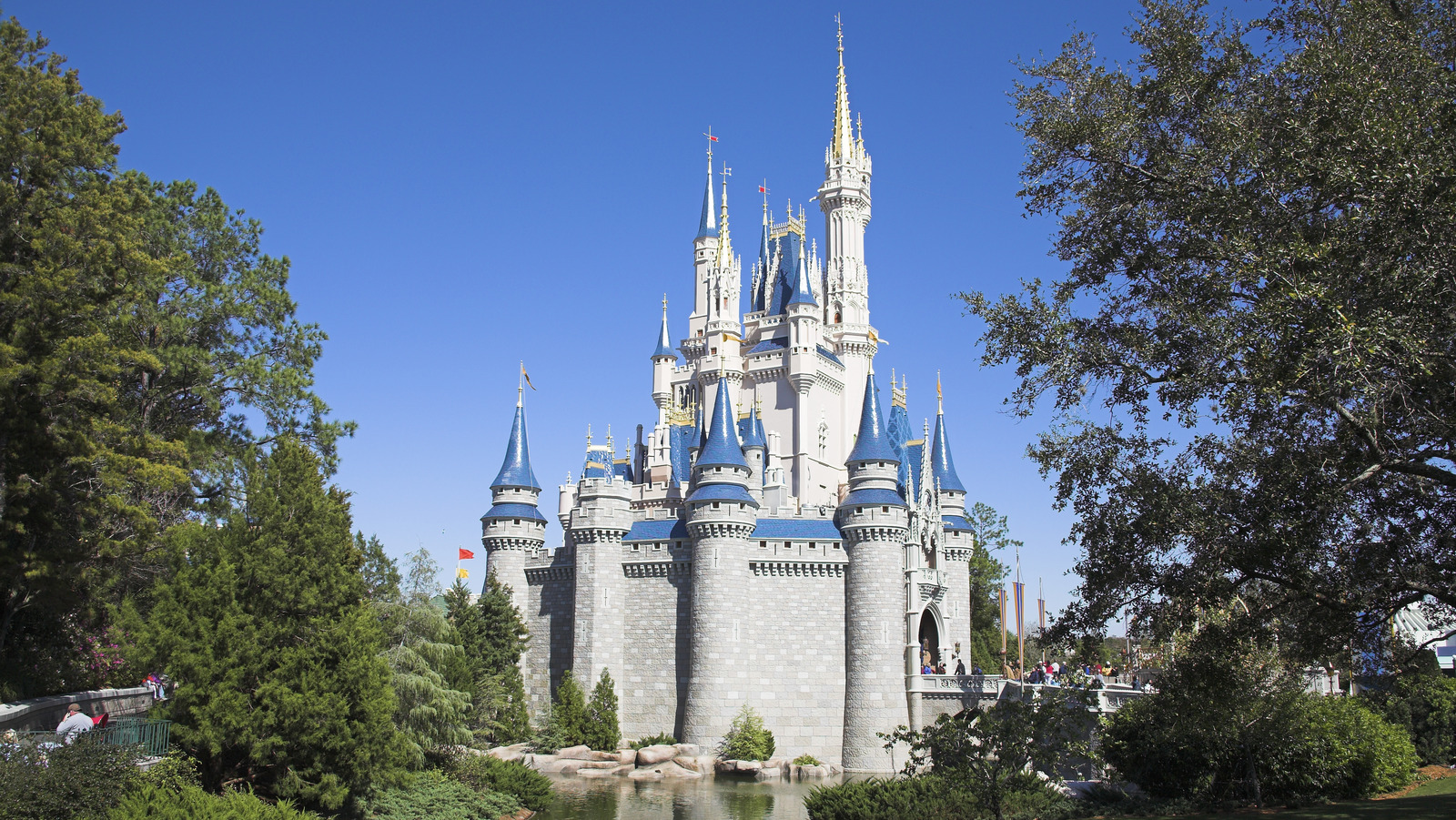 The Most Bizarre Things That Are Banned From Disney Parks