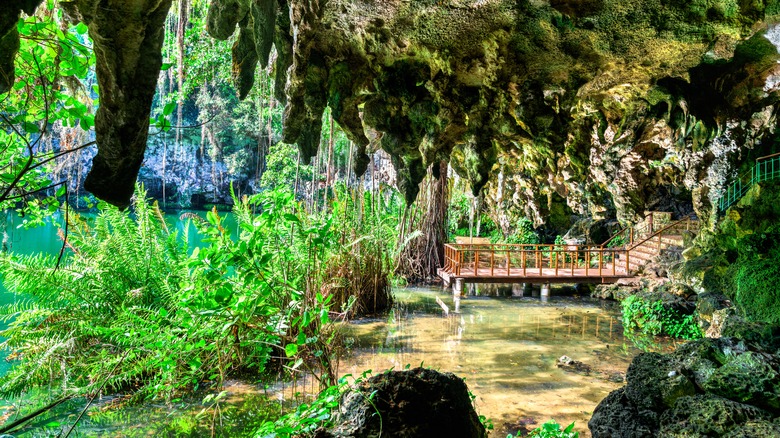 The Most Mesmerizing National Parks In The Caribbean, According To ...