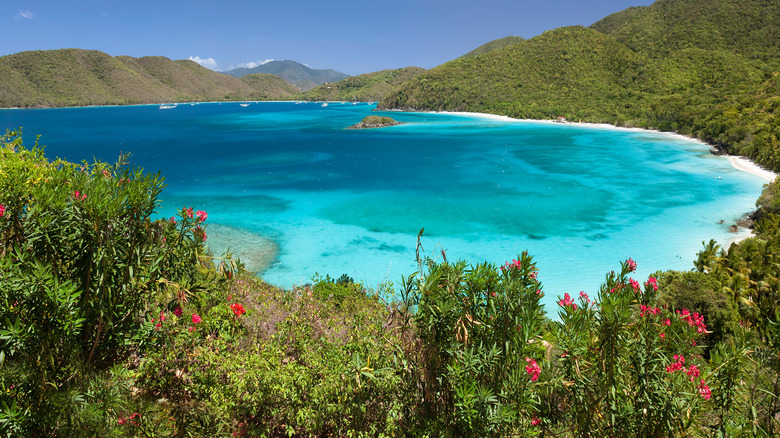 The Most Mesmerizing National Parks In The Caribbean, According To ...