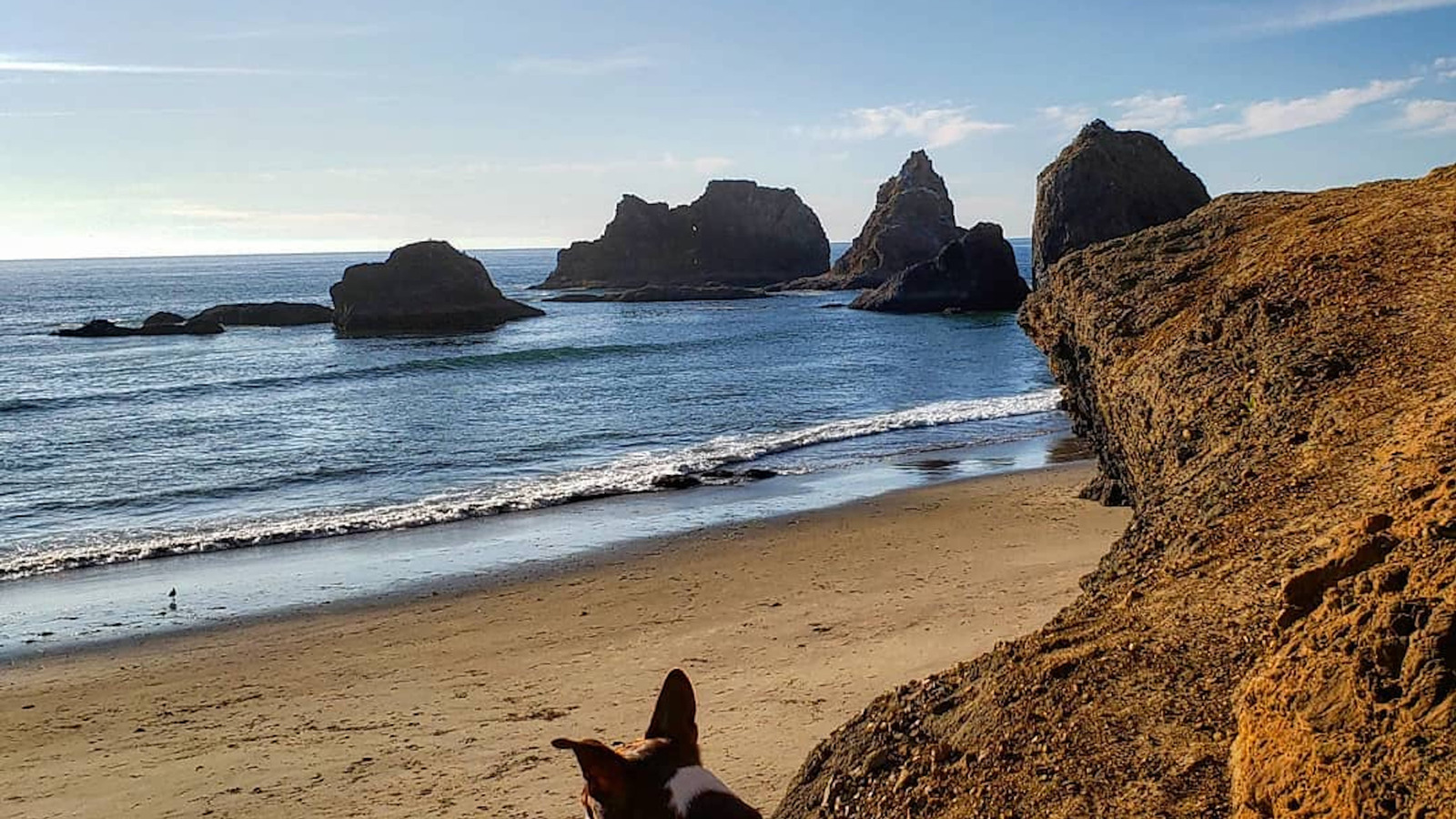 The Oregon Coast's 'Exquisite Destination Campground' Has Yurts And A ...
