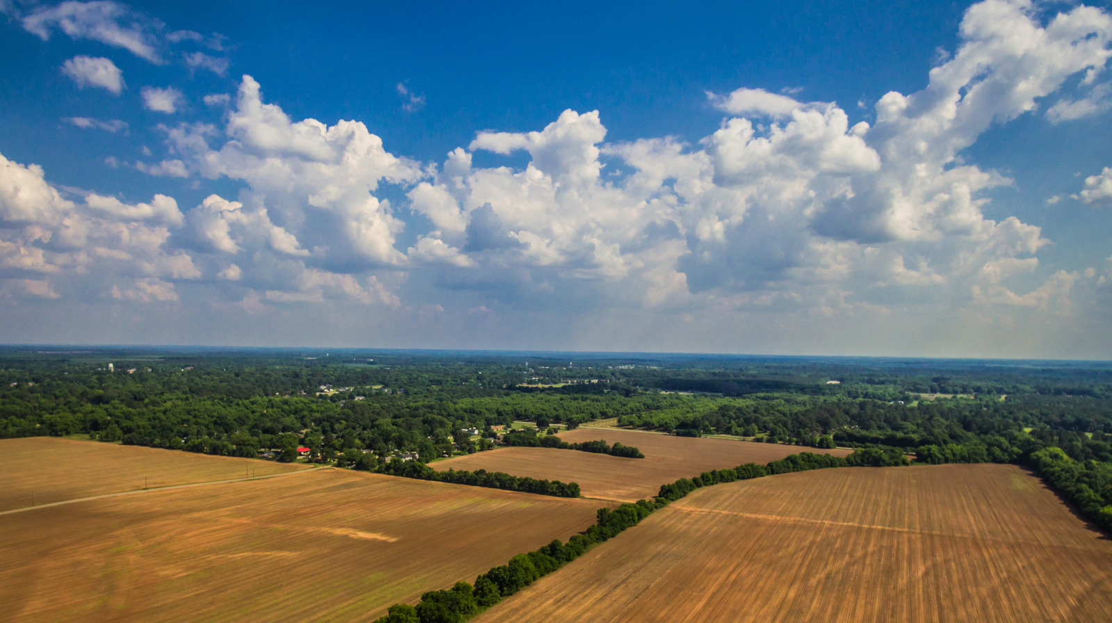 The 'Peach Capital Of World' Is A Gorgeous Georgia Getaway Laced With ...