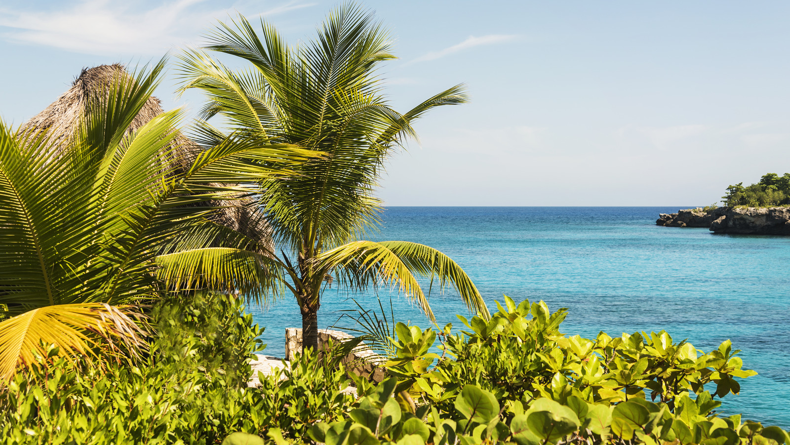 The Popular Tropical Island Paradise That Has Officially Moved To A ...