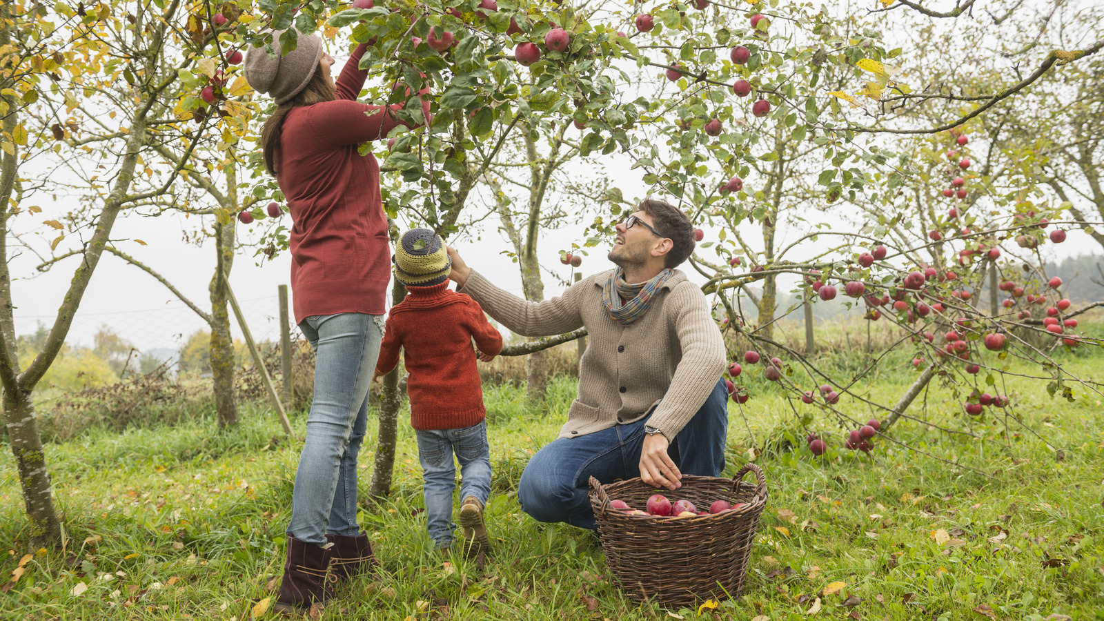 The Scenic Bike Route On New York's Adirondack Coast With Some Of America's Prettiest Orchards