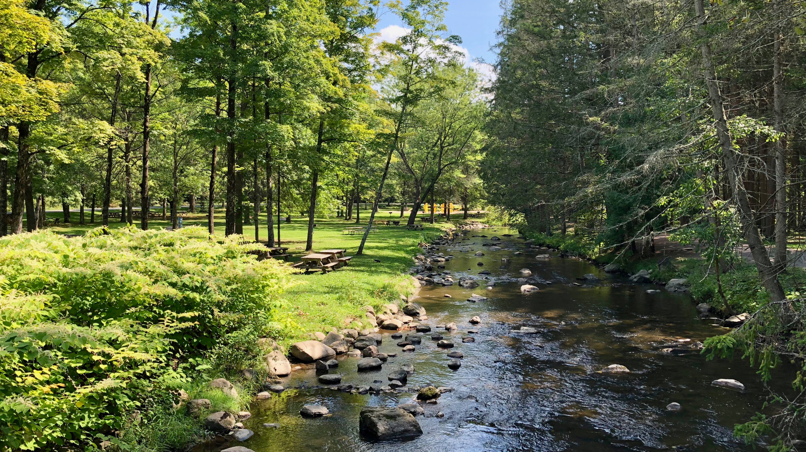 The Underrated New York Spa State Park With Streamside Trails, Serene ...