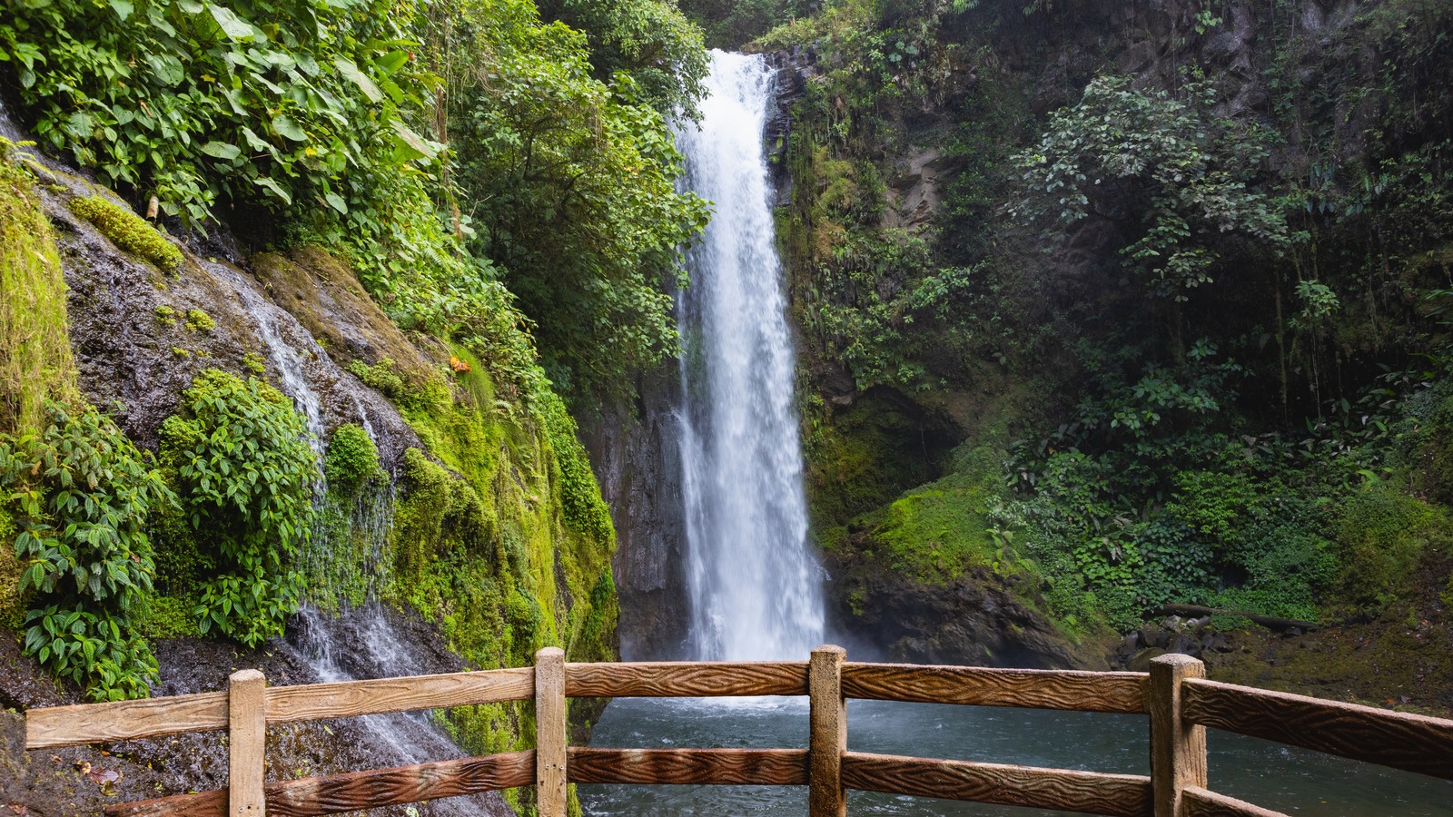 The La Paz Waterfall Gardens Must Be The Prettiest Costa Rican Destination
