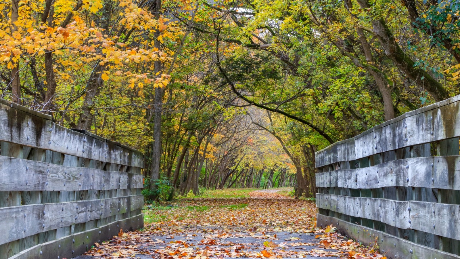 This Charming And Wildly Underrated Ohio City Boasts Hidden Scenic ...