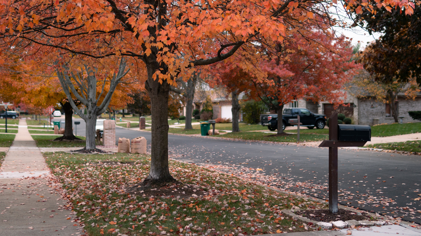This Chicago Suburb Is Known For Small-Town Charm, Spacious Lots, And ...