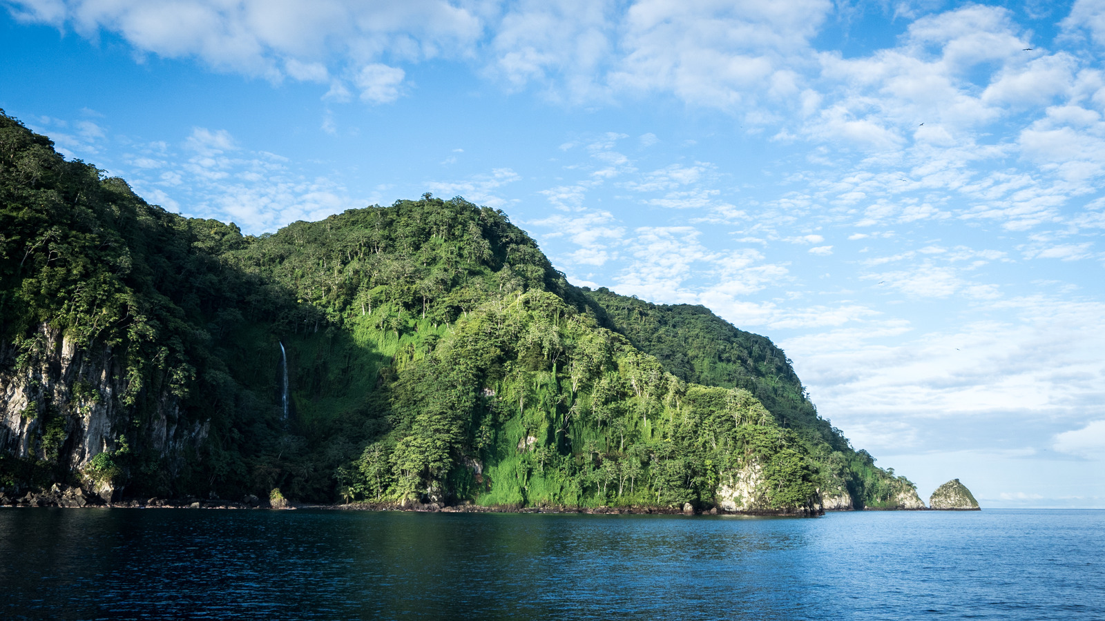 This Costa Rican Island Is Known For Having One Of The Best Shark Dives ...