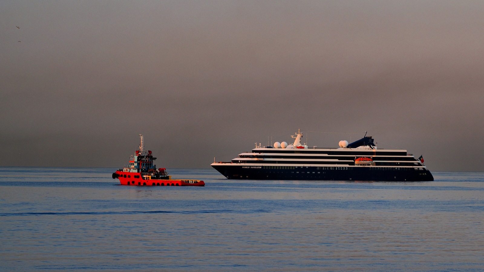This Cruise Line Is Changing Its Logo And Brand, And Travelers Are ...