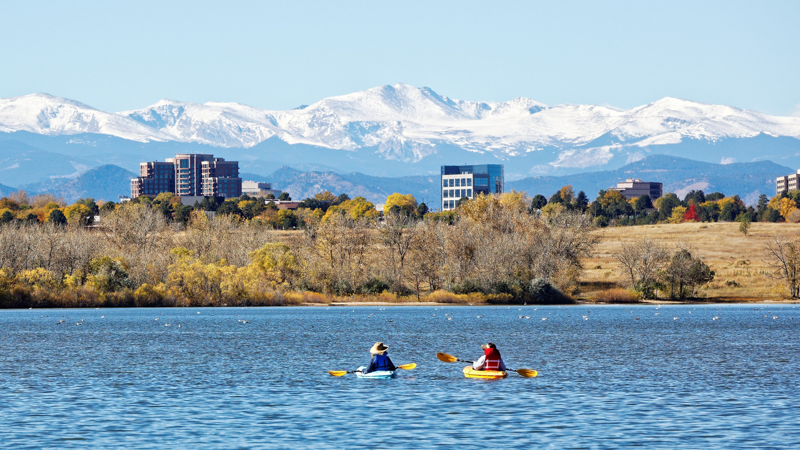 This Dazzling Denver Suburb Is A Colorado Charmer Fusing Urban ...