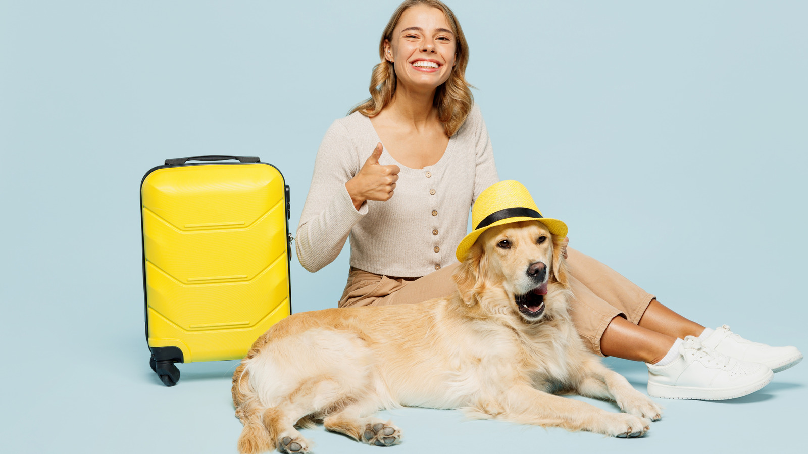 This European Country Made It Easier To Fly With A Big Dog, And They ...
