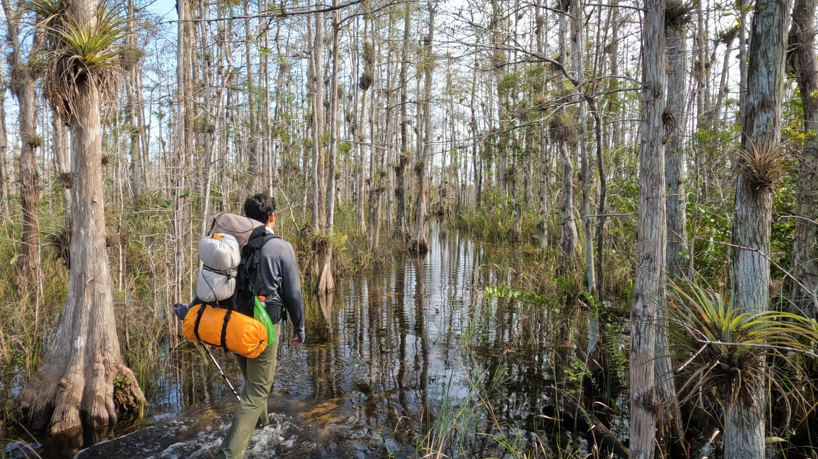 This Free Florida Wildlife Preserve Is A Lot Like Everglades National Park