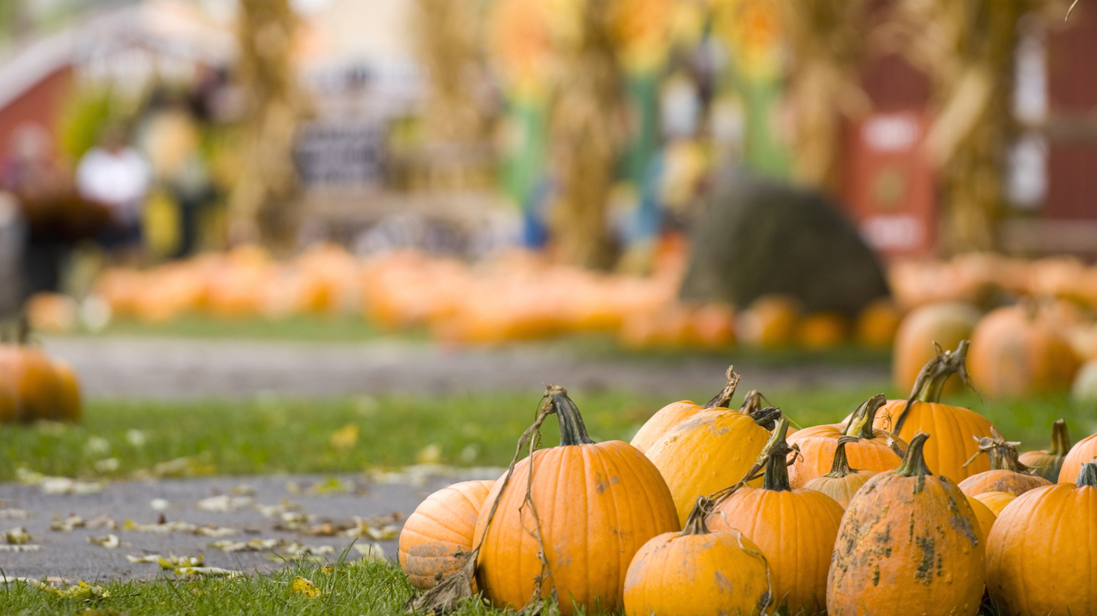This Is The Best Fall Festival In Your State, According To Travel Blogs
