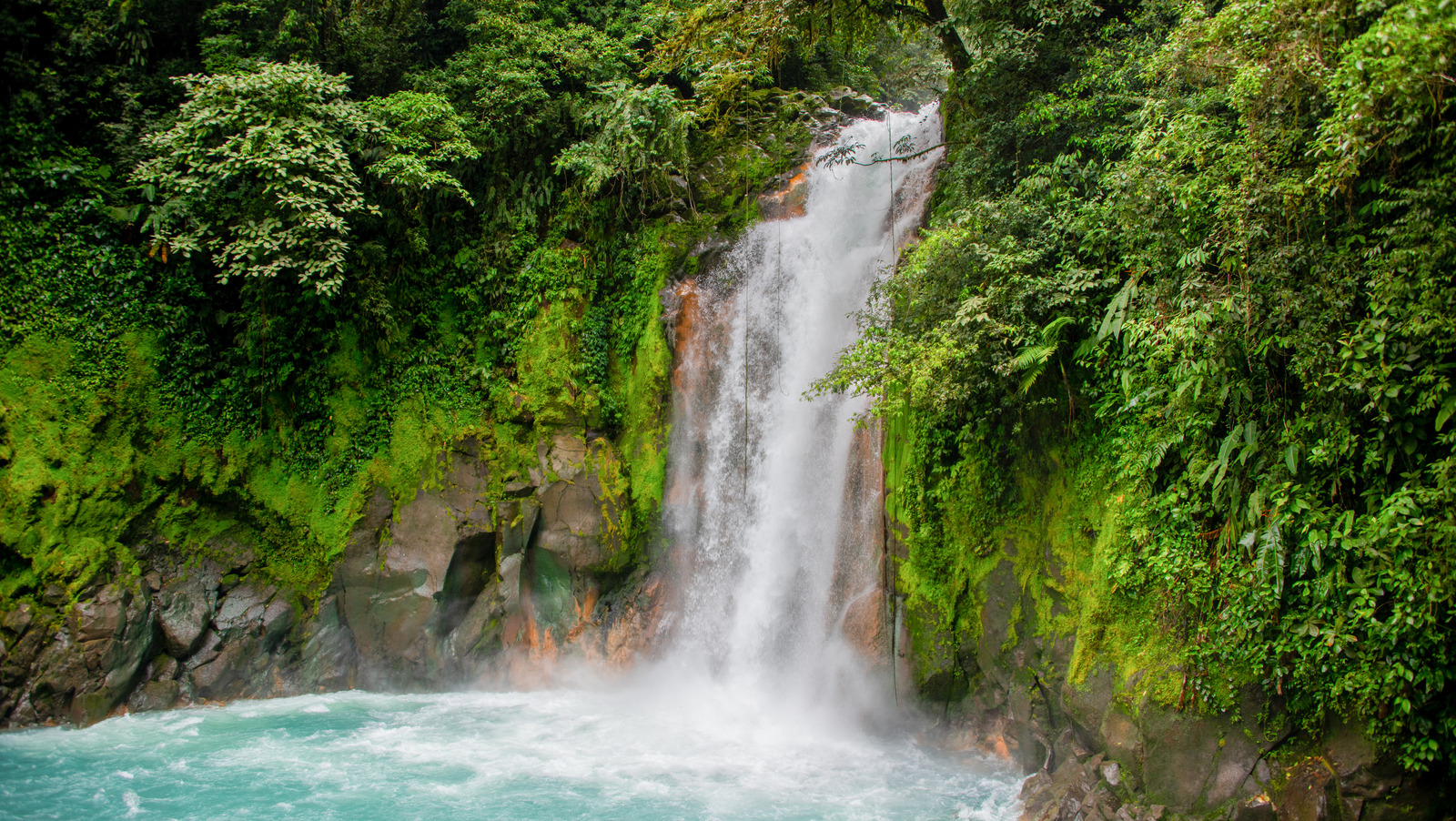 This Lush Hike Is Known As Costa Rica's Best With Enchanting Bright ...