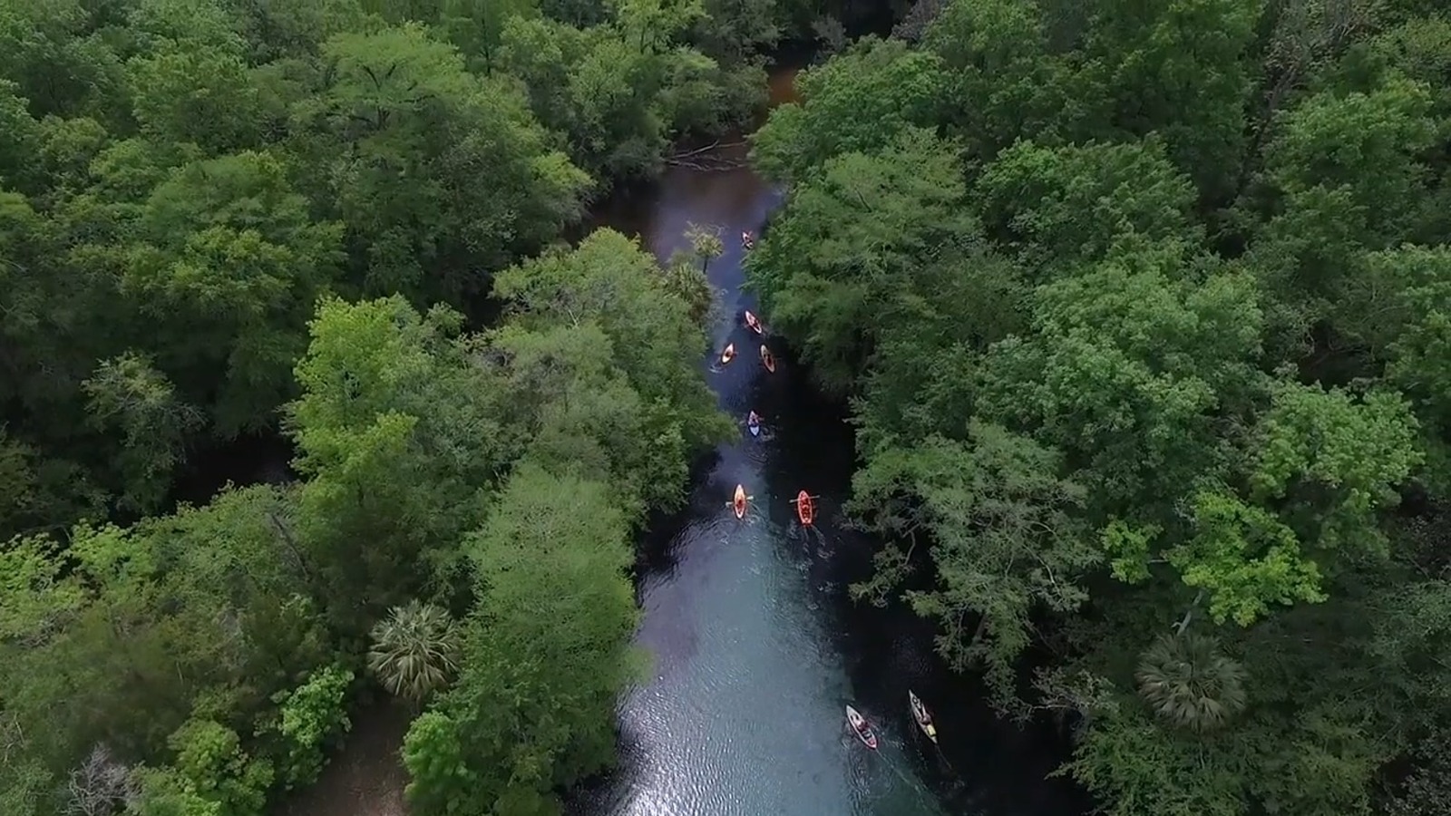The Spring Near Panama City Beach That's A Perfect Swimming Spot
