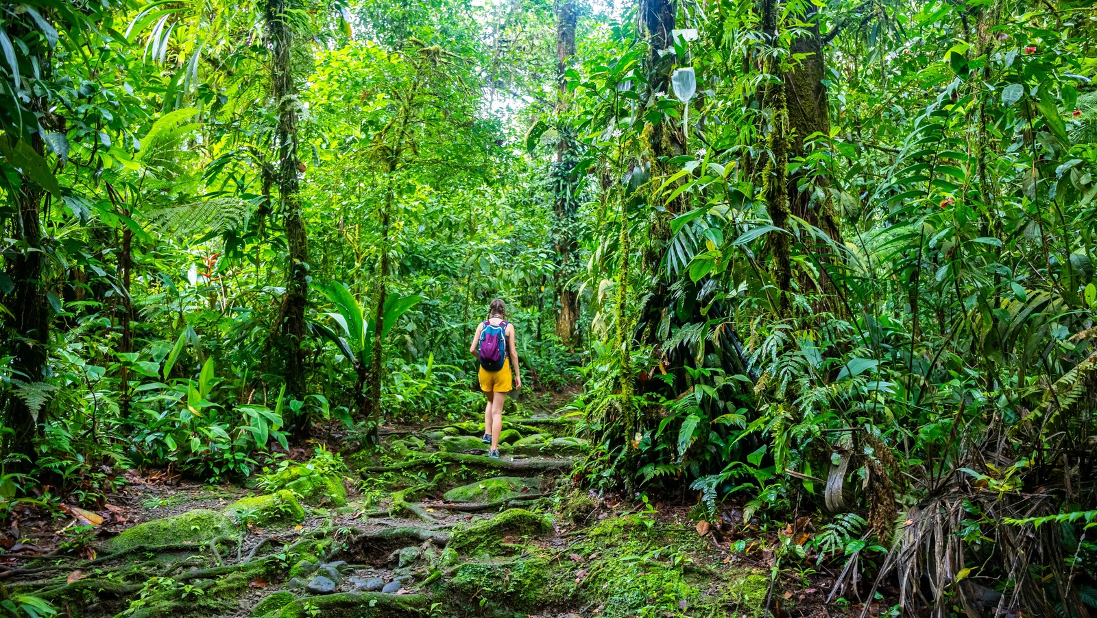 This Costa Rican National Park Has A Jungle Waterfall & Amazing Hot Springs