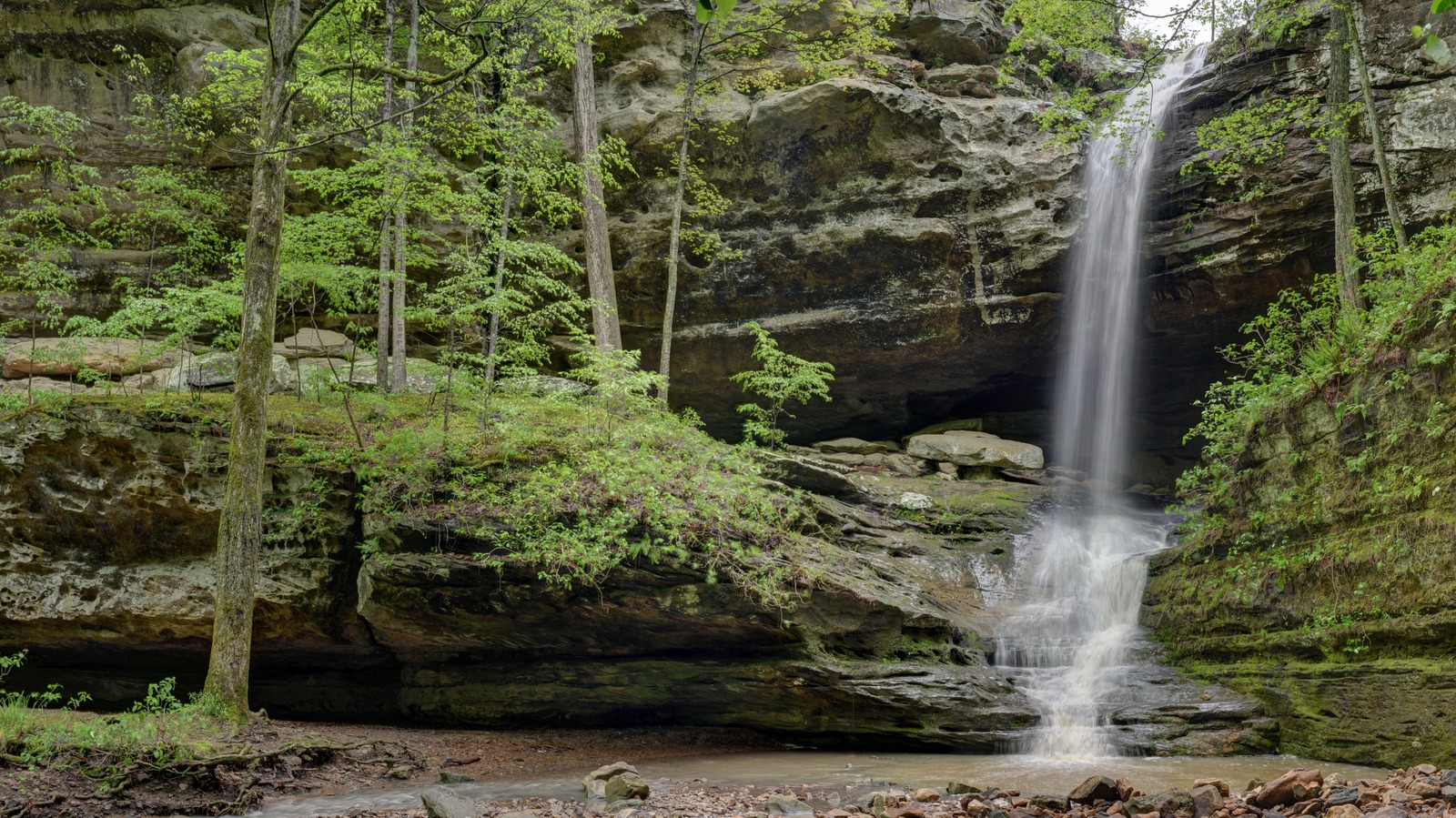 This Quiet Illinois State Park Is Dotted With Wild Trails, Caves ...