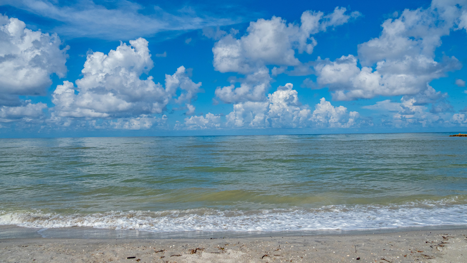 This Quiet Stretch Of Florida's Pristine Gulf Coast Is Very Under-The ...
