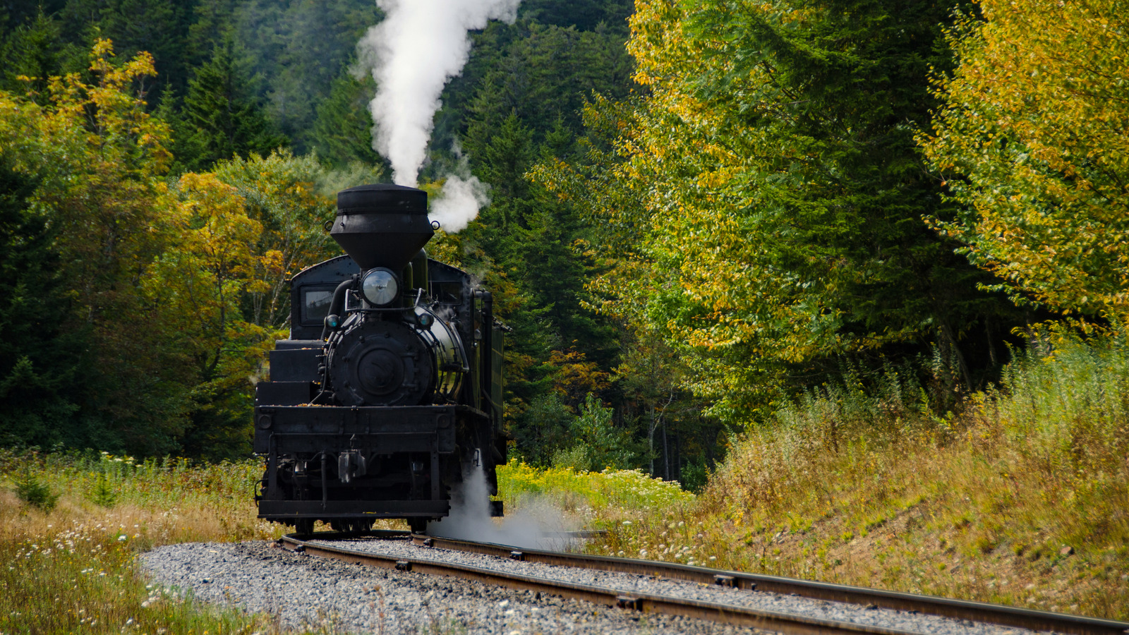 This Quiet West Virginia Town Offers An Iconic Steam Train Ride Through ...