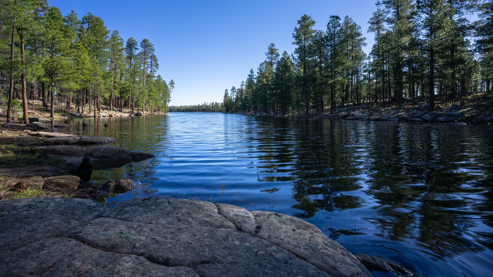 This Rustic Mountain Cabin In Apache-Sitgreaves National Forest Is One Of Arizona's Coziest Wild ...