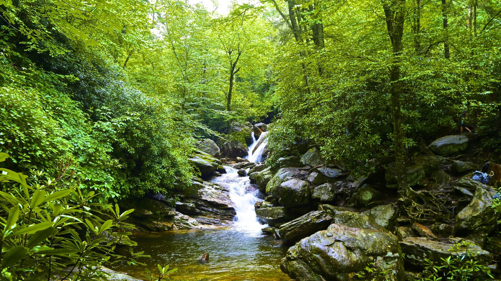 This Short Blue Ridge Parkway Trail With A Naughty Name Has Overlooks ...