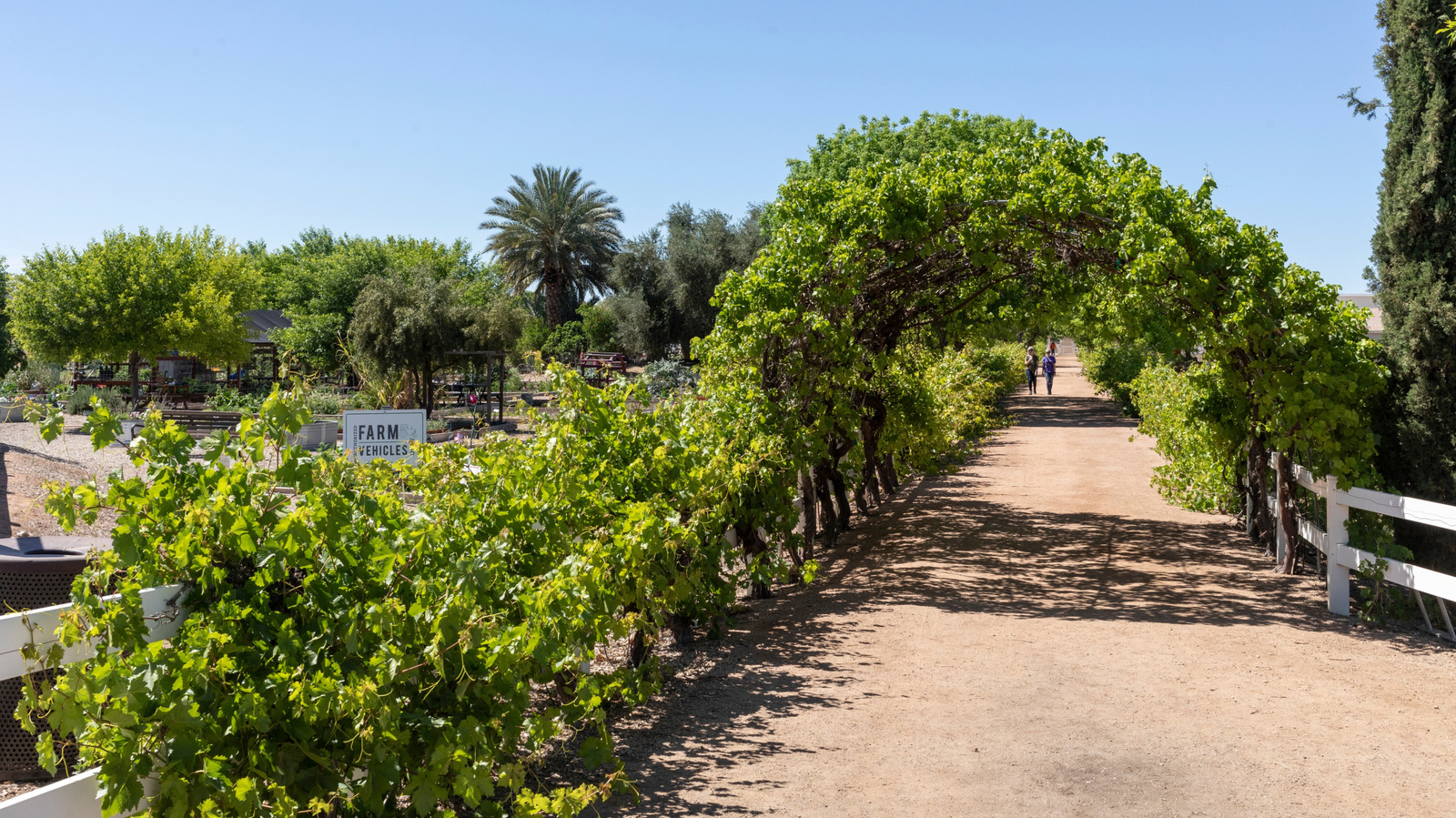 This Sumptuous Arizona Foodie Trail Takes In Farm Fresh Feasts, Citrus ...