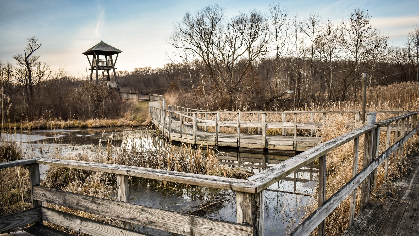 This Underrated City In Illinois With Scenic Parks, Fishing, And ...