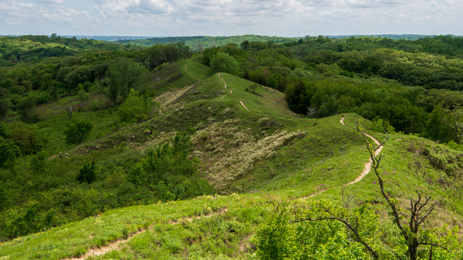 This Underrated Iowa Road Trip Route Crosses Rolling Grasslands, Scenic ...